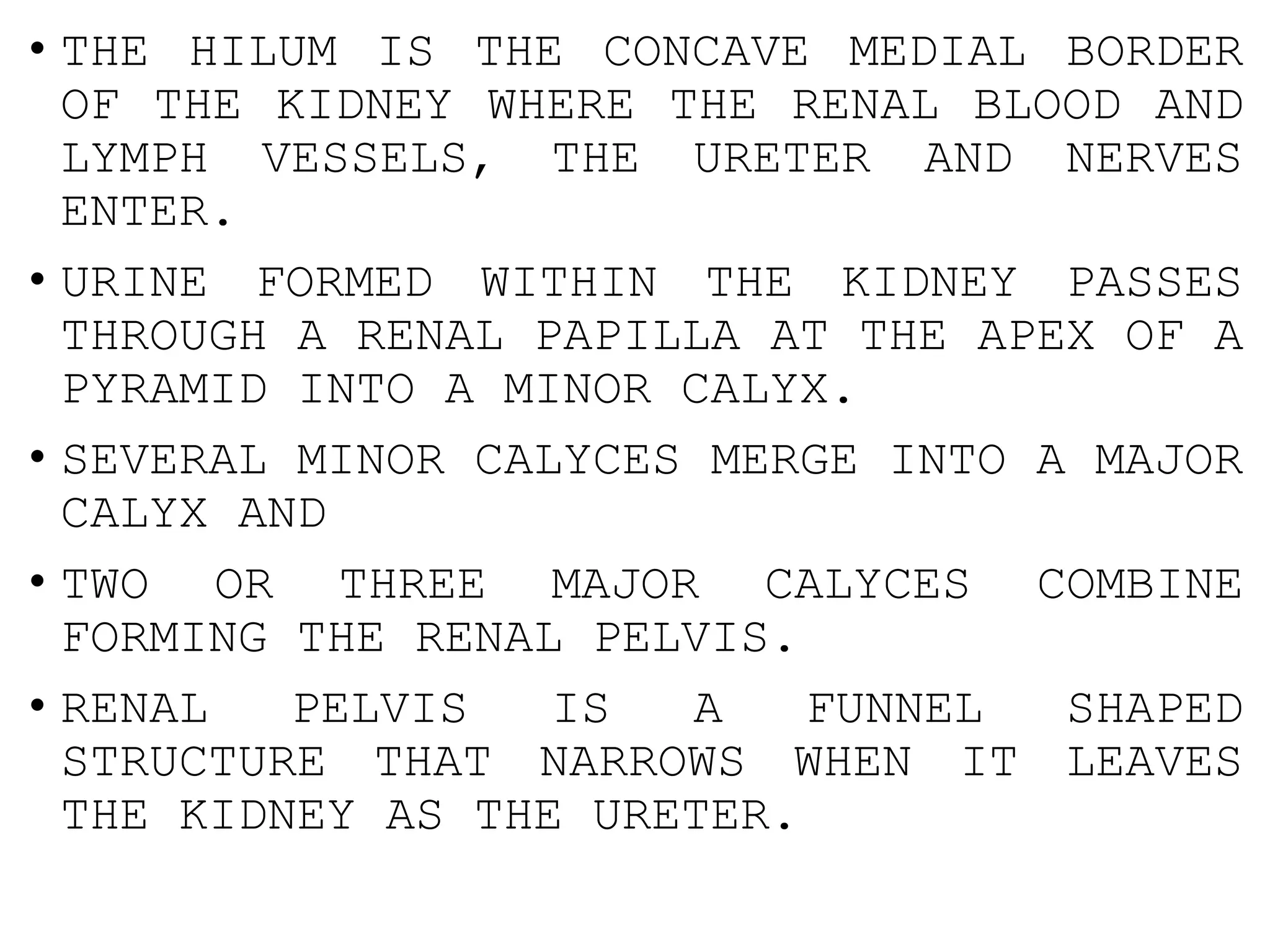 Anatomy & Physiology of Renal System.pptx