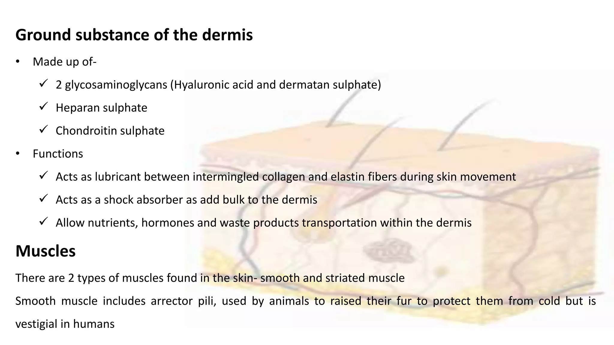 Anatomy & physiology of skin | PPTX