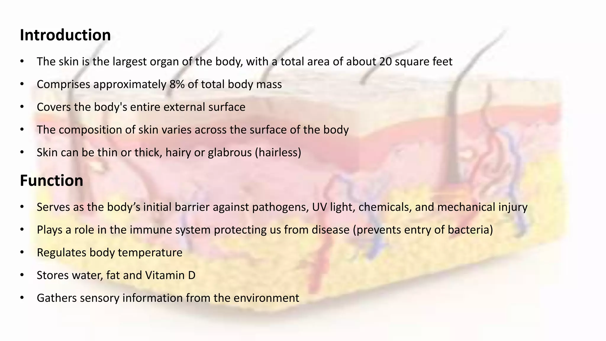 Anatomy & physiology of skin | PPTX