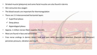 Anatomy & physiology of skin | PPTX