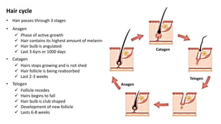 Anatomy & physiology of skin | PPTX