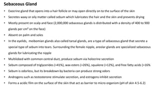 Anatomy & physiology of skin | PPTX