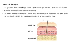 Anatomy & physiology of skin | PPTX