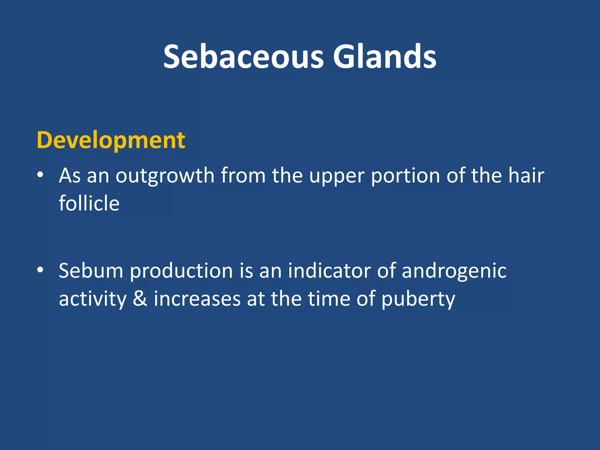 Anatomy & physiology of sweat glands, sebaceous | PPTX