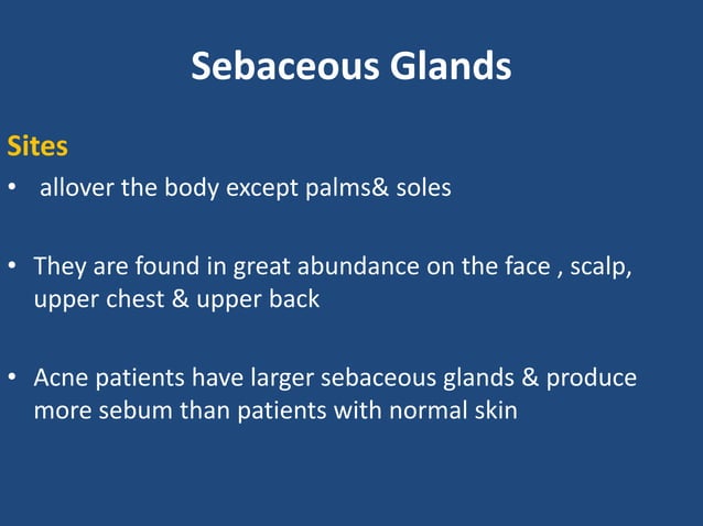 Anatomy & physiology of sweat glands, sebaceous | PPTX | Skin and ...