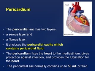 anatomy & physiology of the heart.pptx