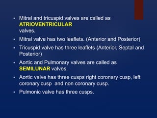 anatomy & physiology of the heart.pptx