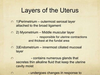 Anatomy & Physiology of the Male and Female.pptx