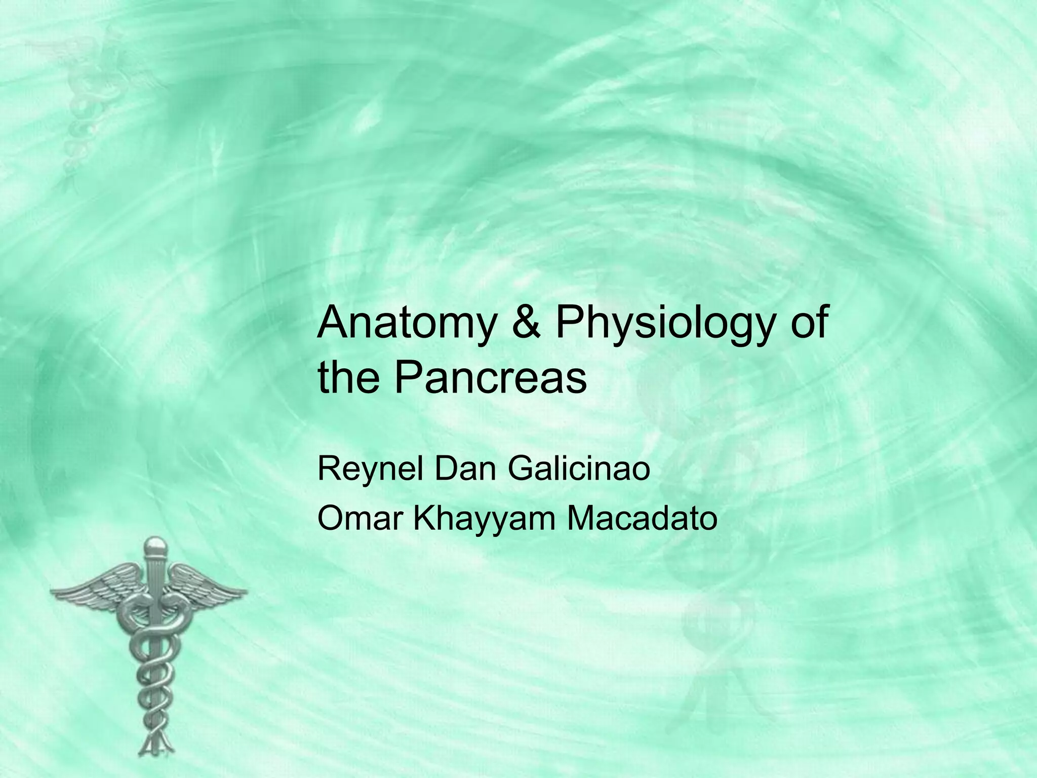 Anatomy & Physiology Of The Pancreas (Dm) | PPTX