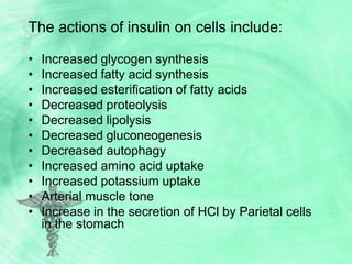 Anatomy & Physiology Of The Pancreas (Dm) | PPTX
