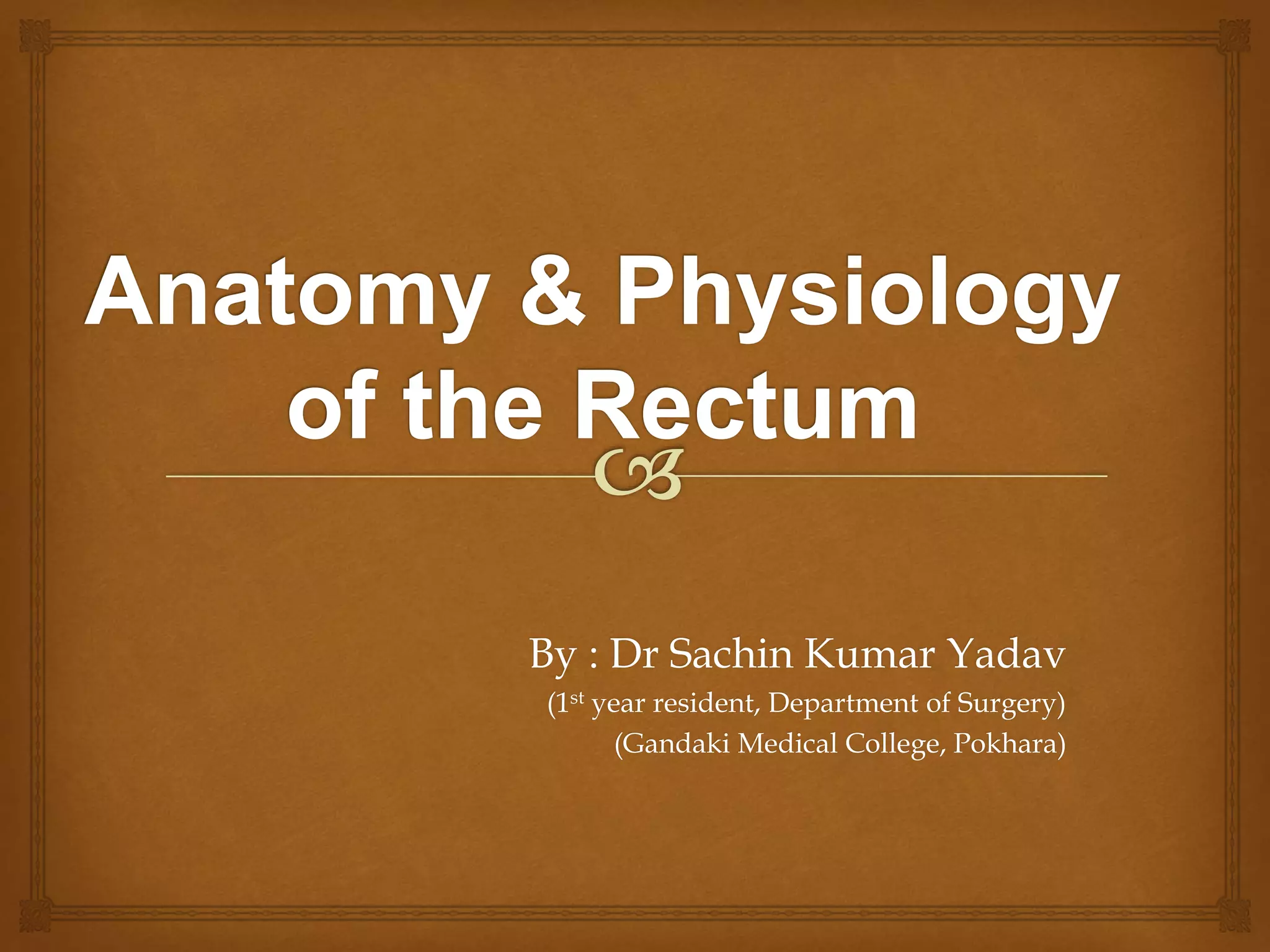 Anatomy & Physiology of the Rectum.pptx