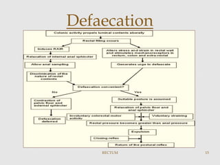 Anatomy & Physiology of the Rectum.pptx