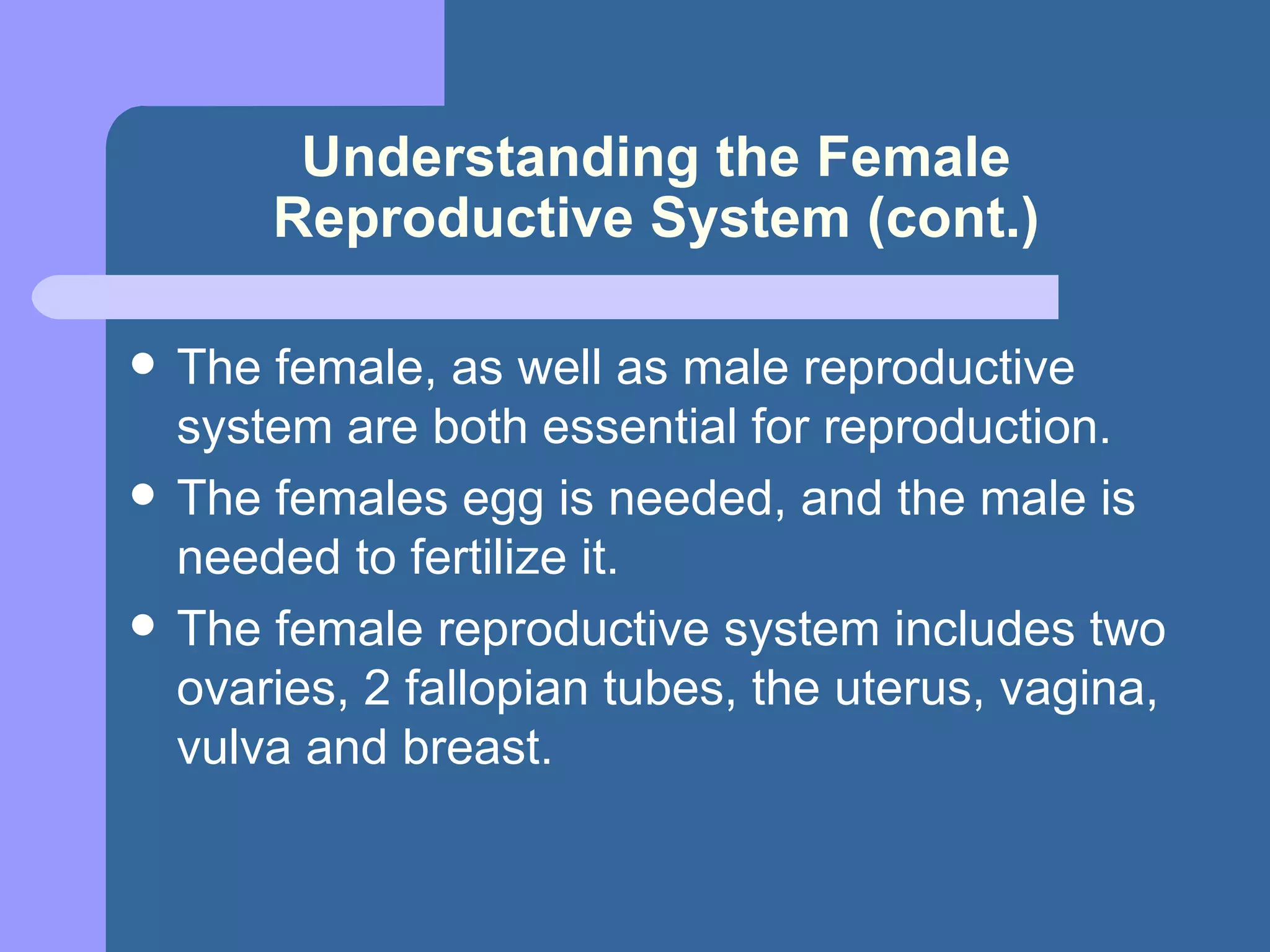 Anatomy & Physiology Of The Reproductive System | PPT