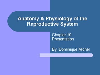 Anatomy & Physiology Of The Reproductive System | PPT