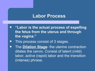 Anatomy & Physiology Of The Reproductive System | PPT