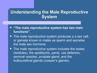 Anatomy & Physiology Of The Reproductive System | PPT