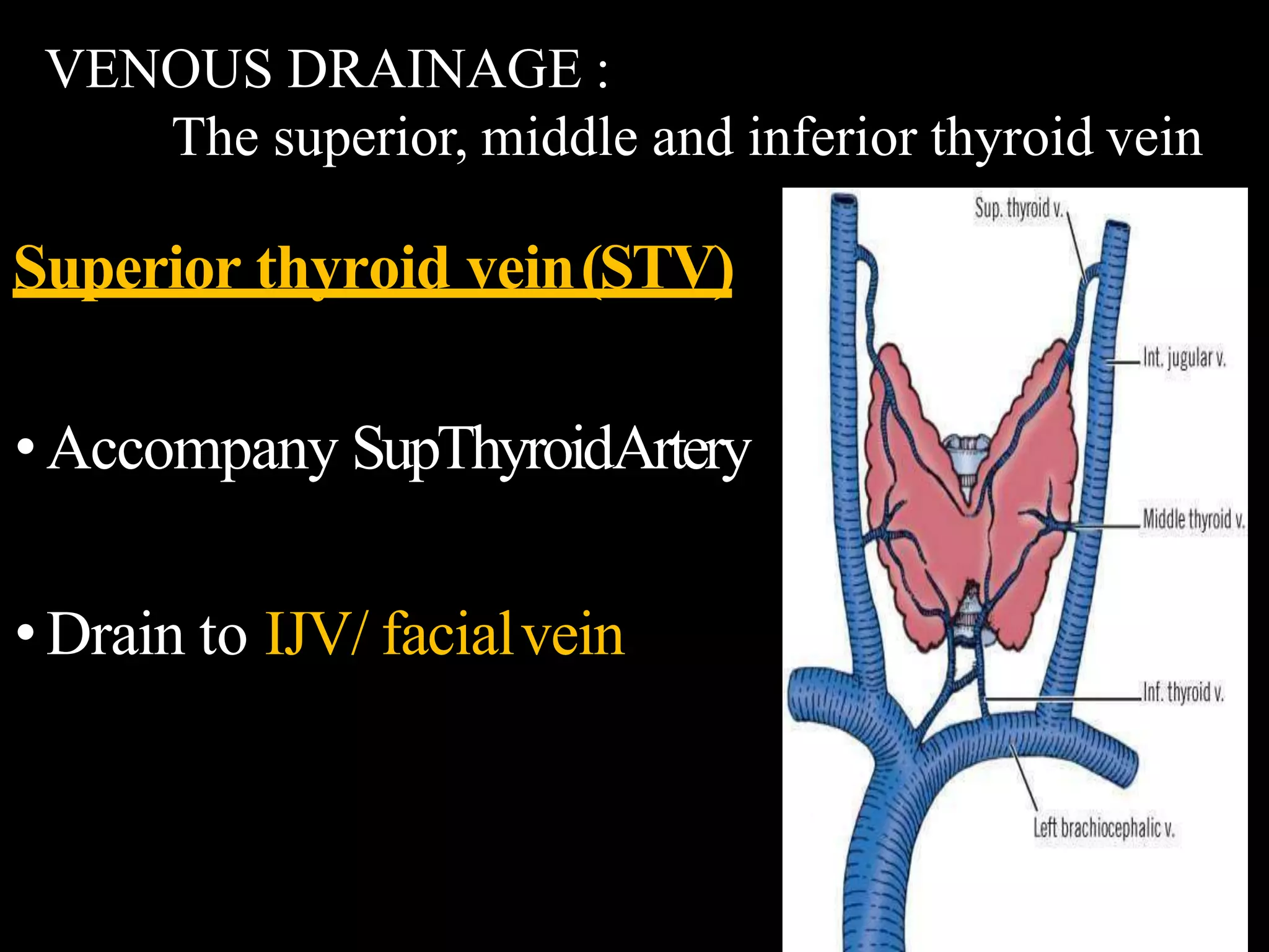anatomyphysiologyofthyroidgland-190310153340.pptx