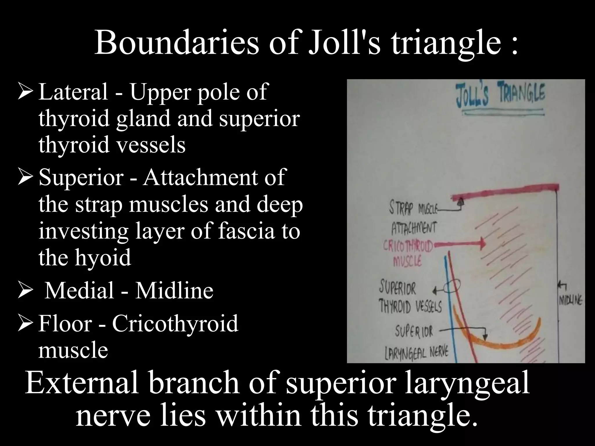 anatomyphysiologyofthyroidgland-190310153340.pptx