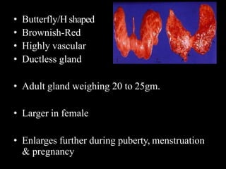 anatomyphysiologyofthyroidgland-190310153340.pptx
