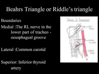 anatomyphysiologyofthyroidgland-190310153340.pptx