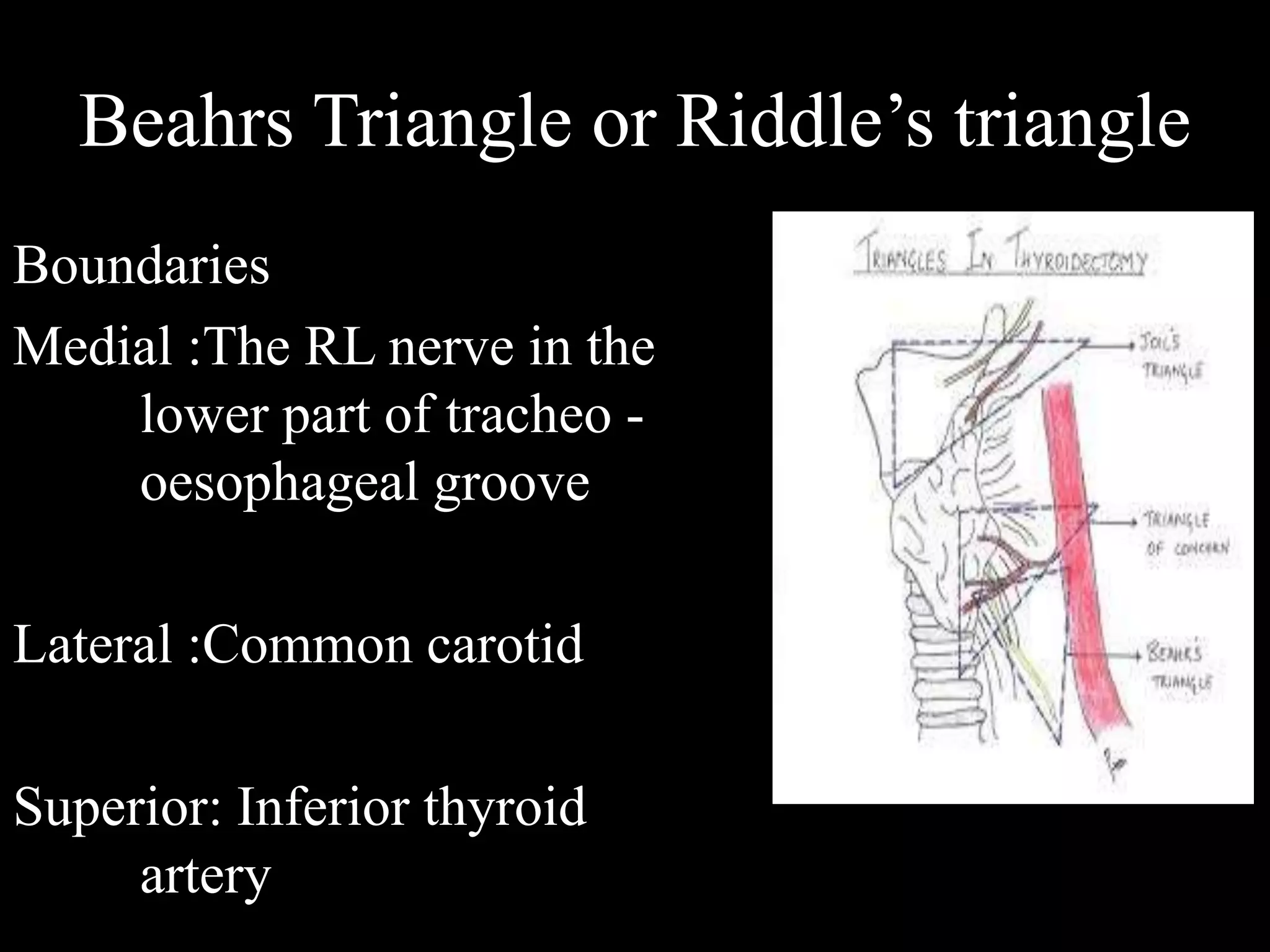 Anatomy & physiology of thyroid gland | PPTX