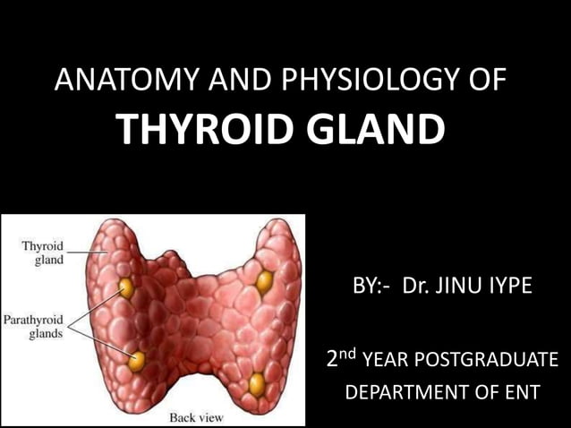Anatomy & physiology of thyroid gland | PPTX