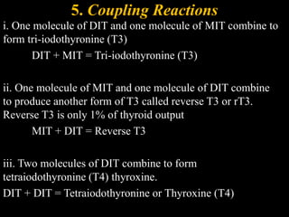 Anatomy & physiology of thyroid gland | PPTX