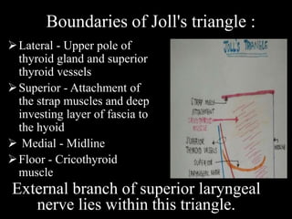 Anatomy & physiology of thyroid gland | PPT