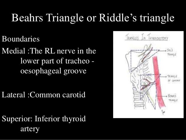 Anatomy & physiology of thyroid gland