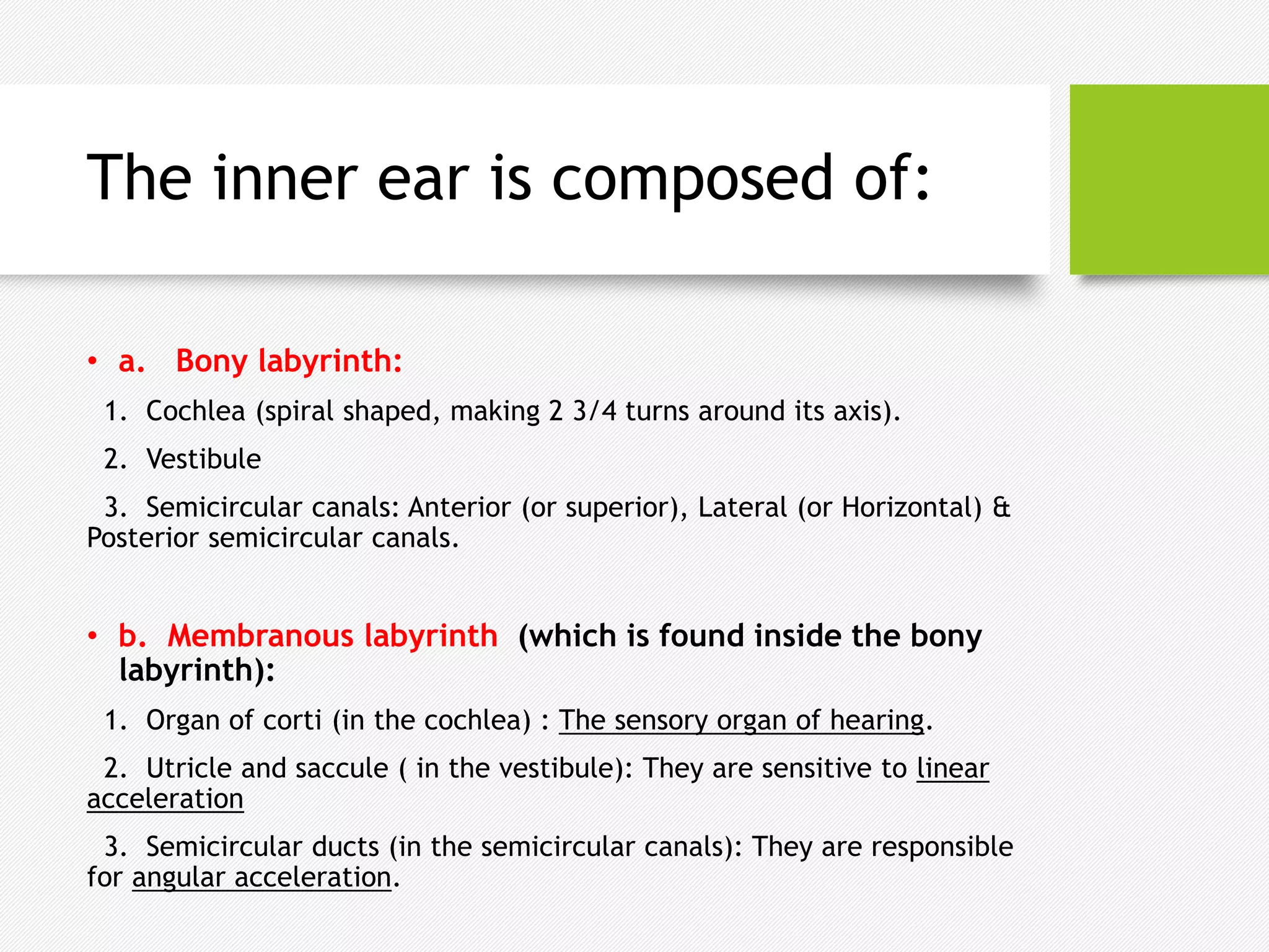Anatomy & Physiology of Vestibular System | PPTX