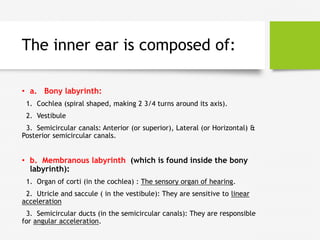 Anatomy & Physiology of Vestibular System | PPTX