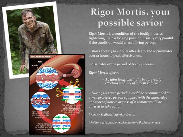 Anntomy & Physiology of Zombies | PPTX