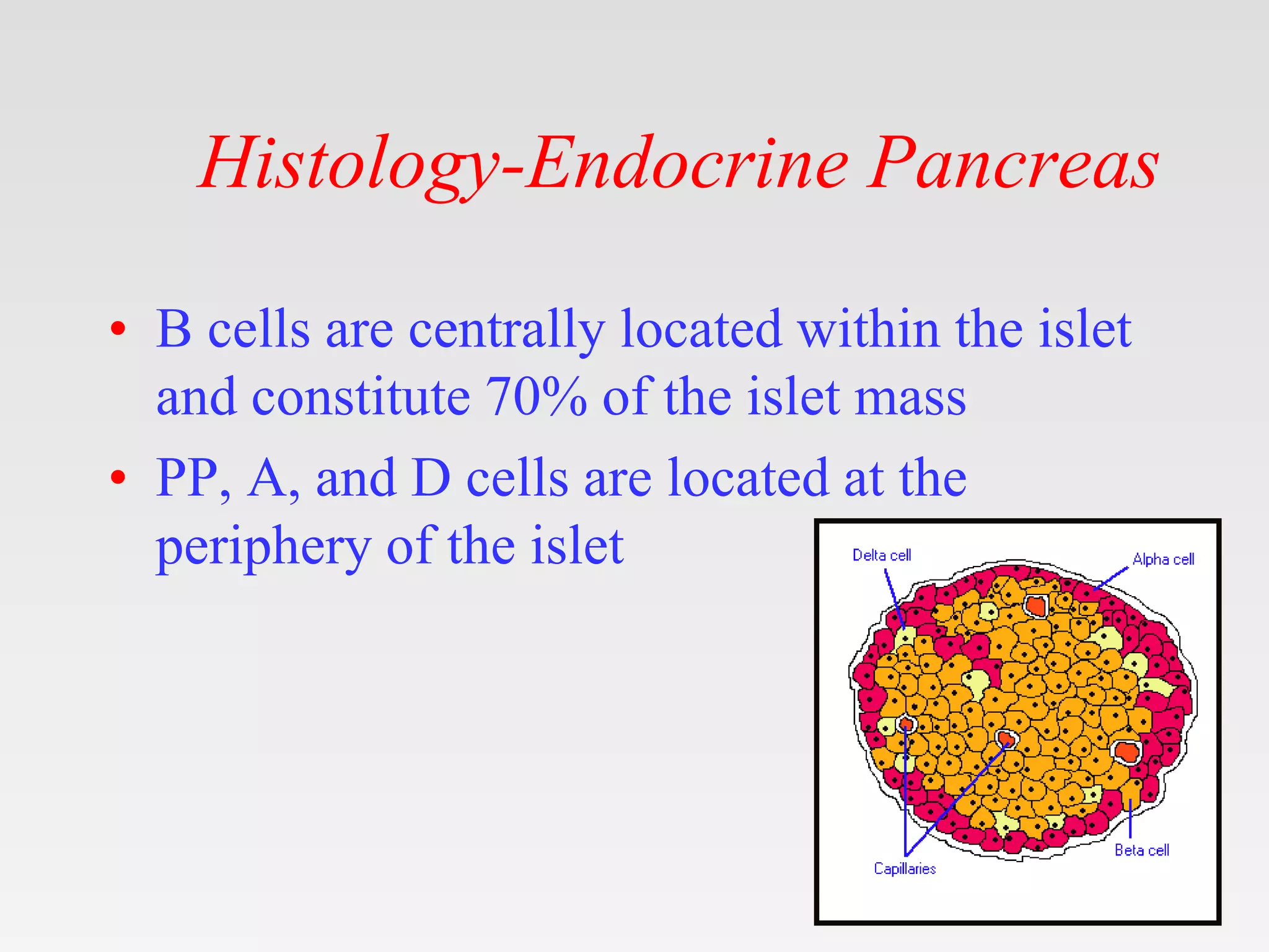 Anatomy physiology pancreas.pptx