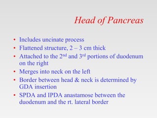 Anatomy physiology pancreas.pptx