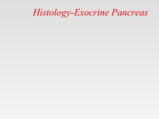 Anatomy physiology pancreas.pptx
