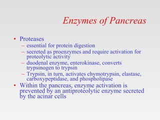 Anatomy physiology pancreas.pptx
