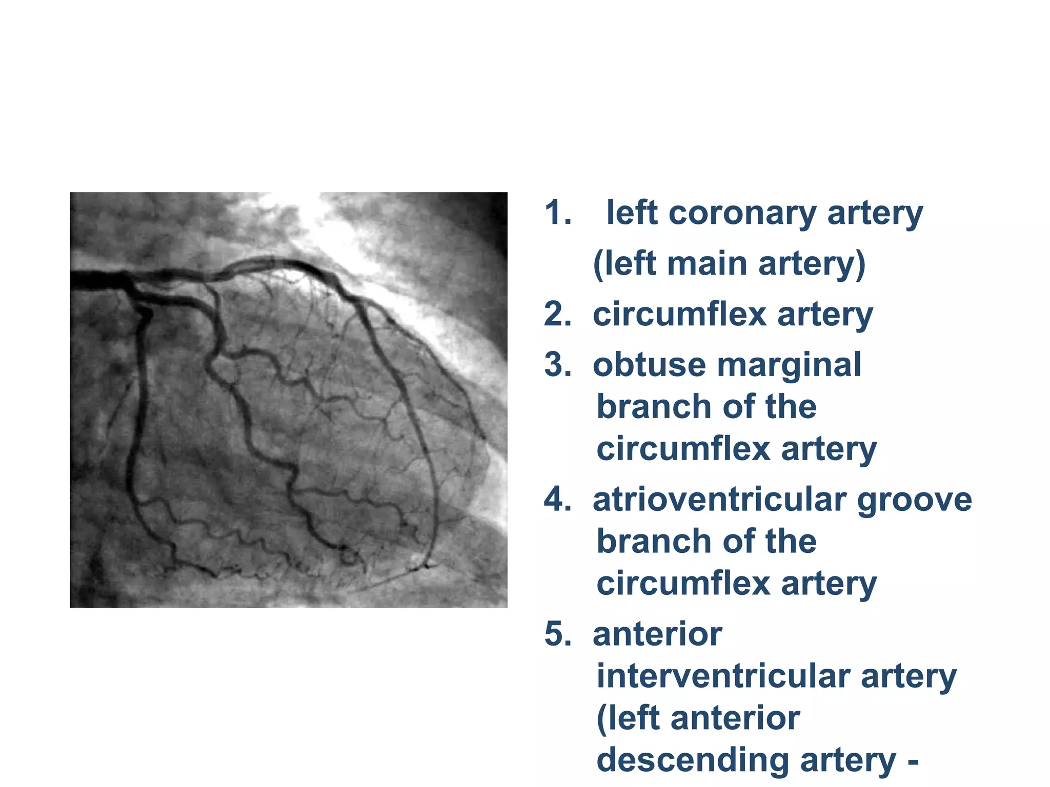Anatomy, physiology & patophysiology of the cardiovascular | PPT