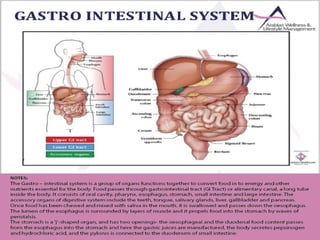 Anatomy & physiology pp t | PPT