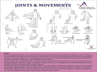 Anatomy & physiology pp t | PPT