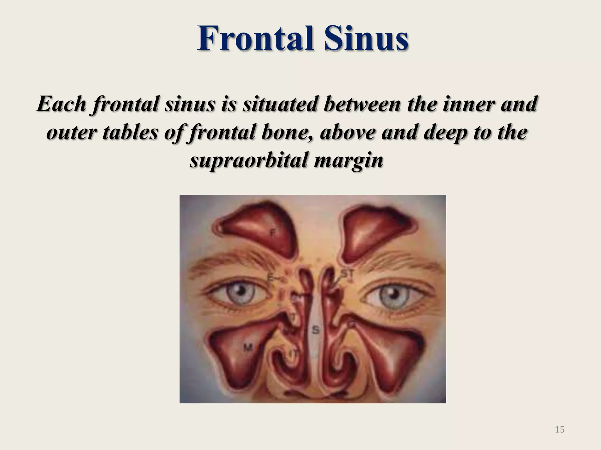 ANATOMY, PHYSIOLOGY & SIGNS SYMPTOMS CONGENITAL ANOMALIES OF NOSE AND ...
