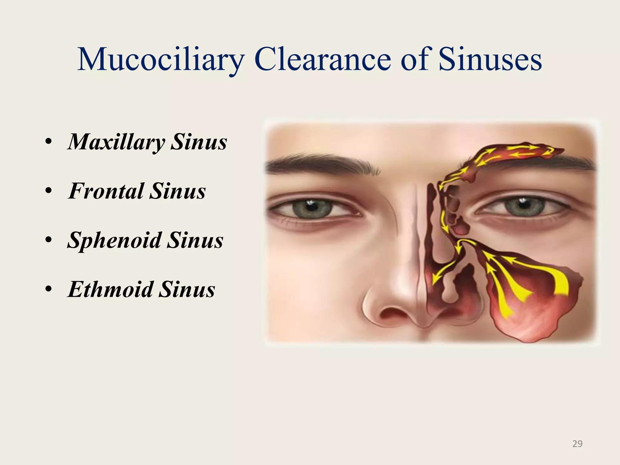ANATOMY, PHYSIOLOGY & SIGNS SYMPTOMS CONGENITAL ANOMALIES OF NOSE AND ...