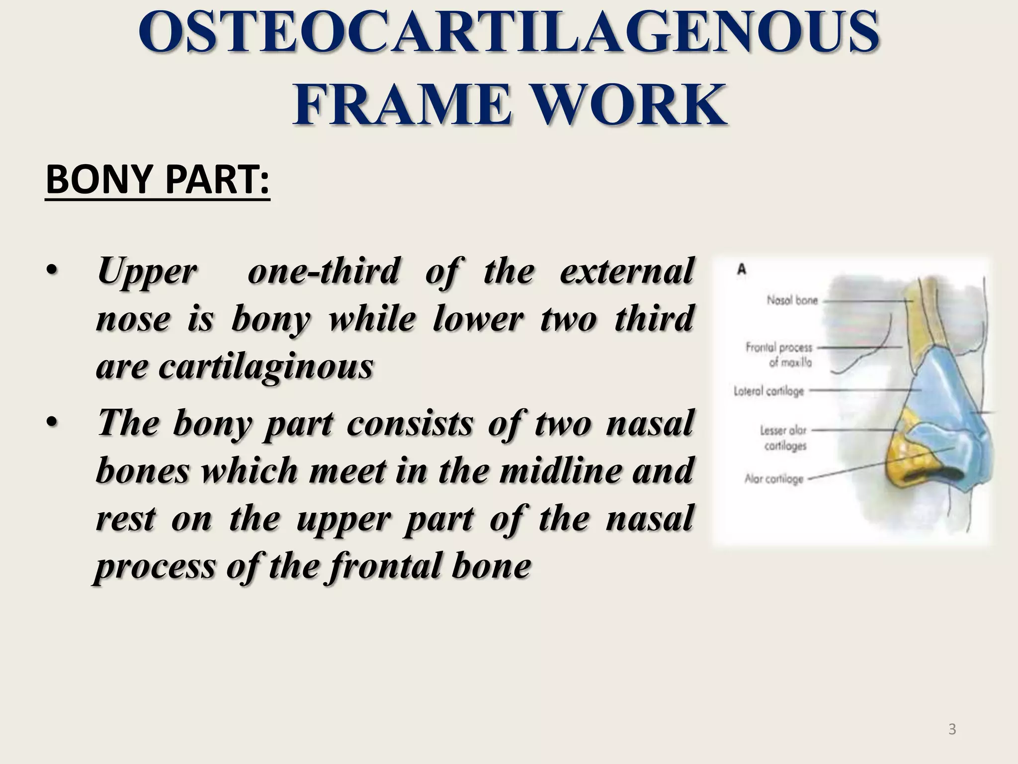 ANATOMY, PHYSIOLOGY & SIGNS SYMPTOMS CONGENITAL ANOMALIES OF NOSE AND ...