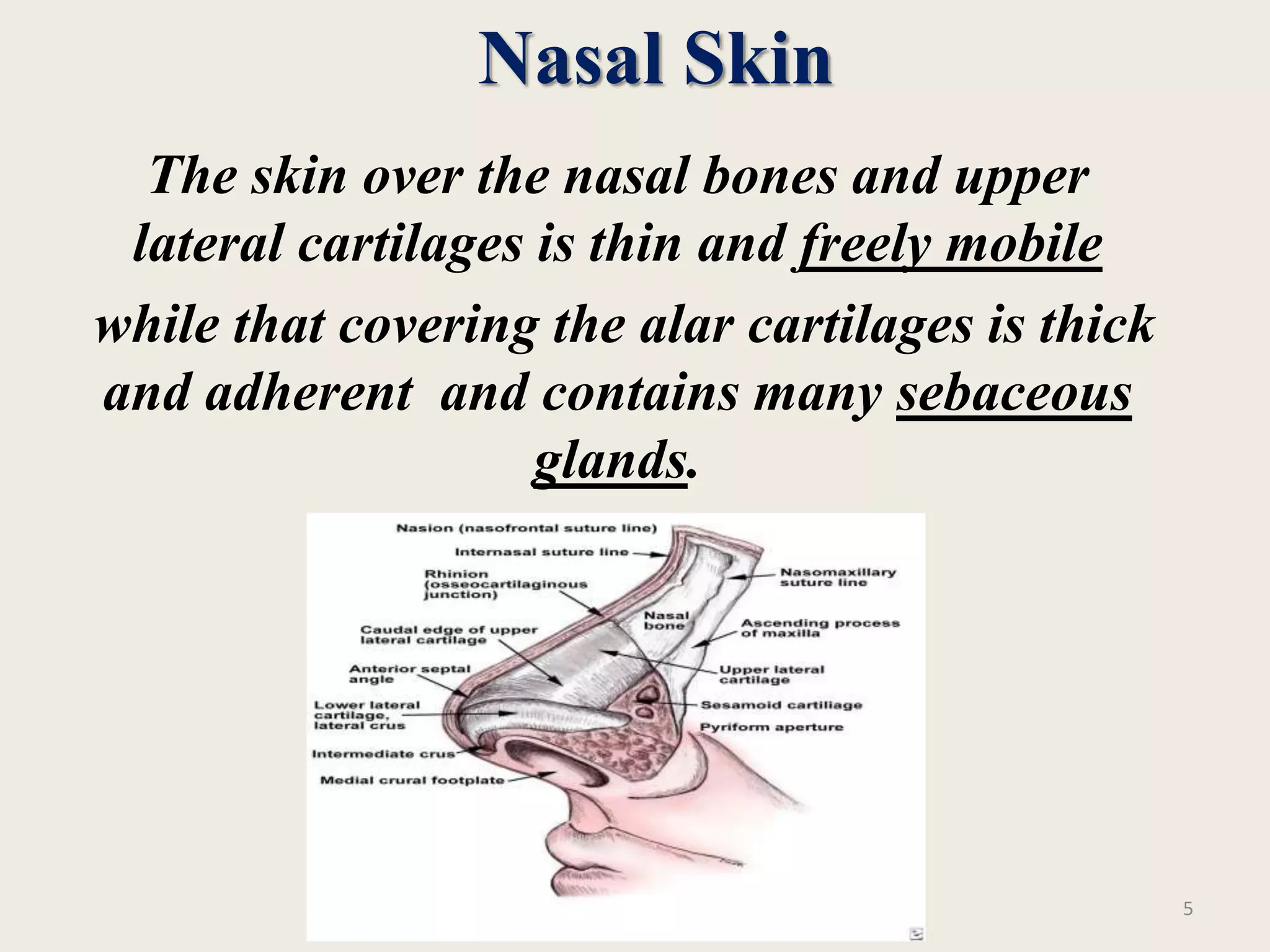 ANATOMY, PHYSIOLOGY & SIGNS SYMPTOMS CONGENITAL ANOMALIES OF NOSE AND ...