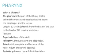 Anatomy & physio of Respiratory System.pptx