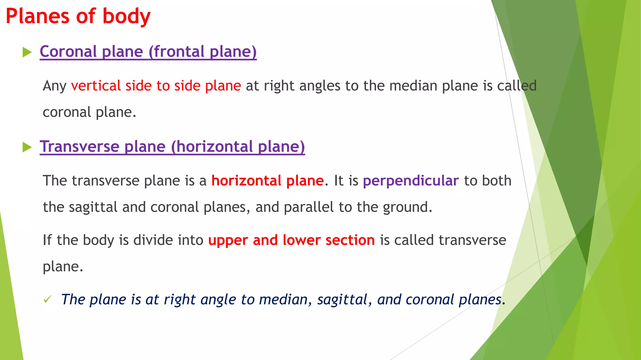 Anatomy (planes and Terms).pptx