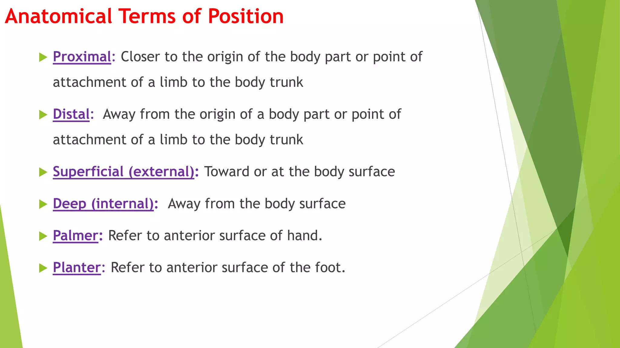 Anatomy (planes and Terms).pptx
