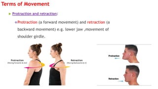 Anatomy (planes and Terms).pptx