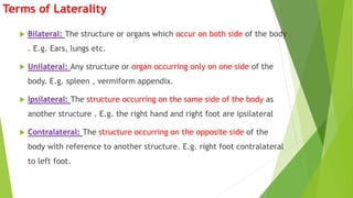 Anatomy (planes and Terms).pptx