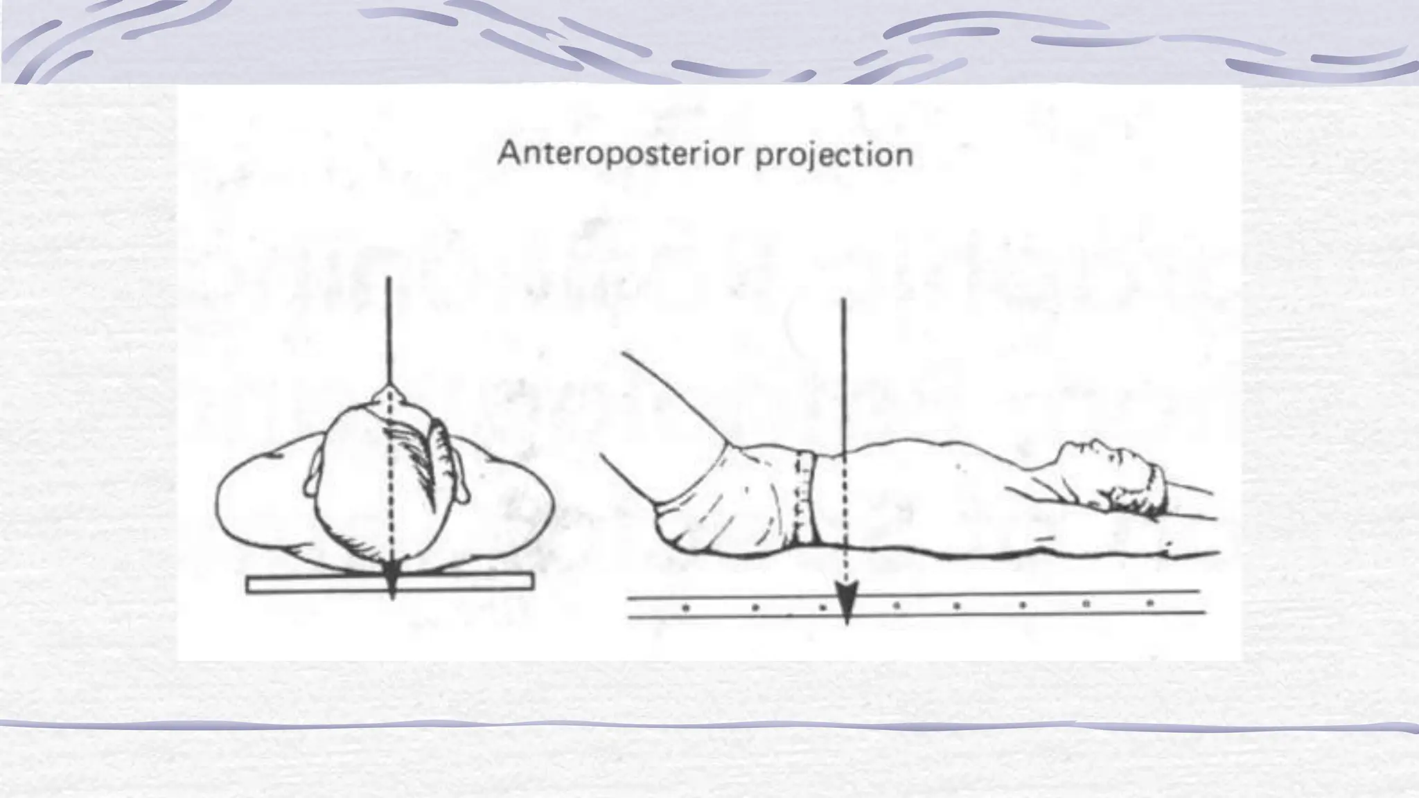 anatomy thorax human title radiologi positioning | PPTX