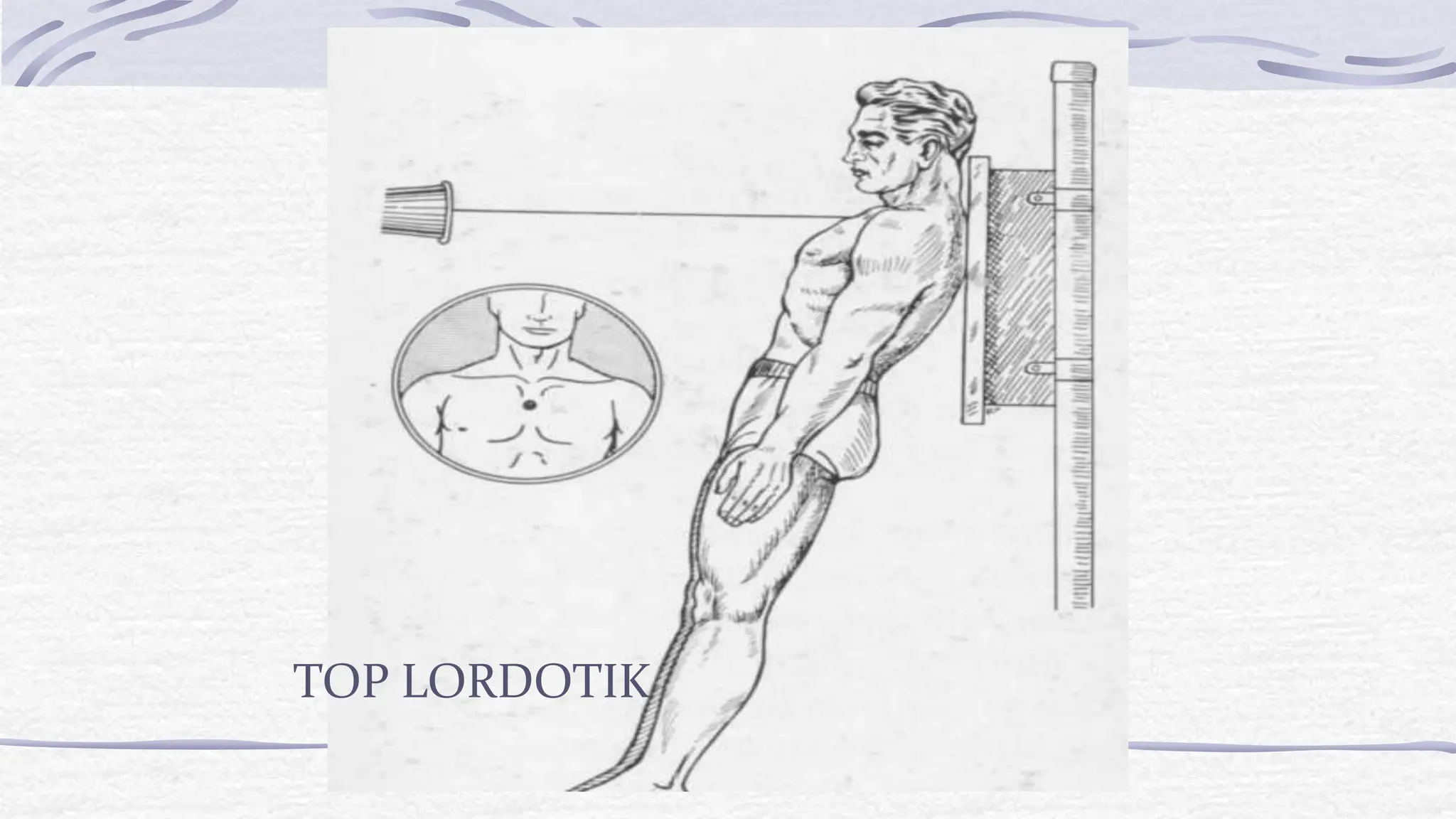 anatomy thorax human title radiologi positioning | PPTX